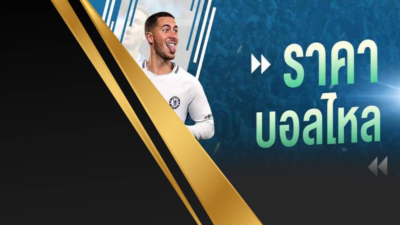 ทำความรู้จักราคาบอลไหล คืออะไร อยากรวยต้องดู - ATM368